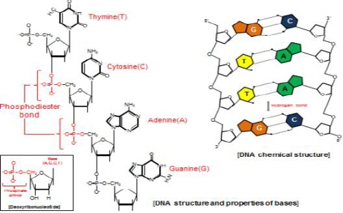 재생의학, 패러다임이 변하고 있다